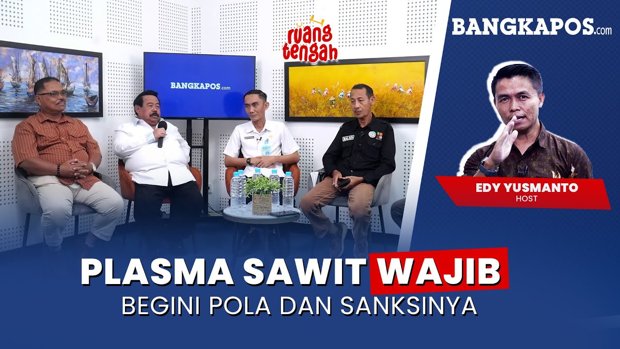 Plasma Sawit WAJIB: Begini Pola & Sanksinya || Dialog Ruang Tengah ...