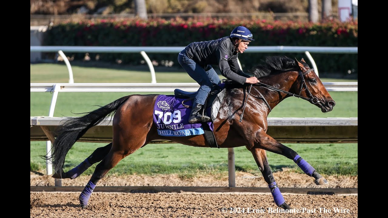 Race Lens Tampa Bay Derby Angles with Charles Trent - YouTube