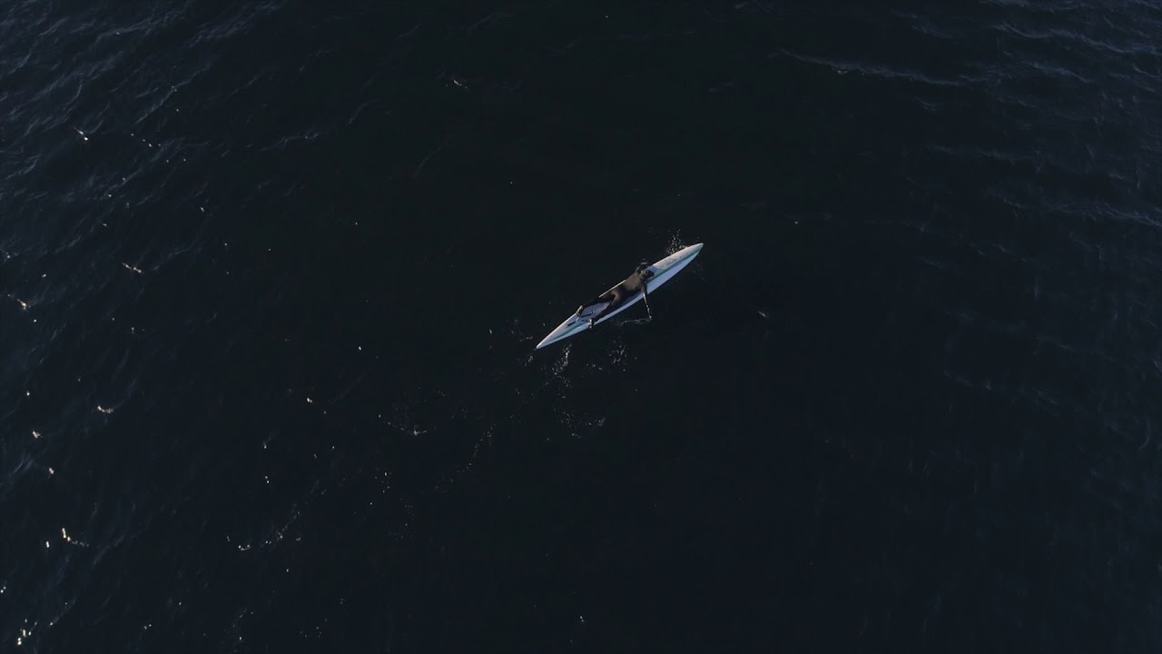 Prone Paddleboarding Rich Passage, WA - YouTube