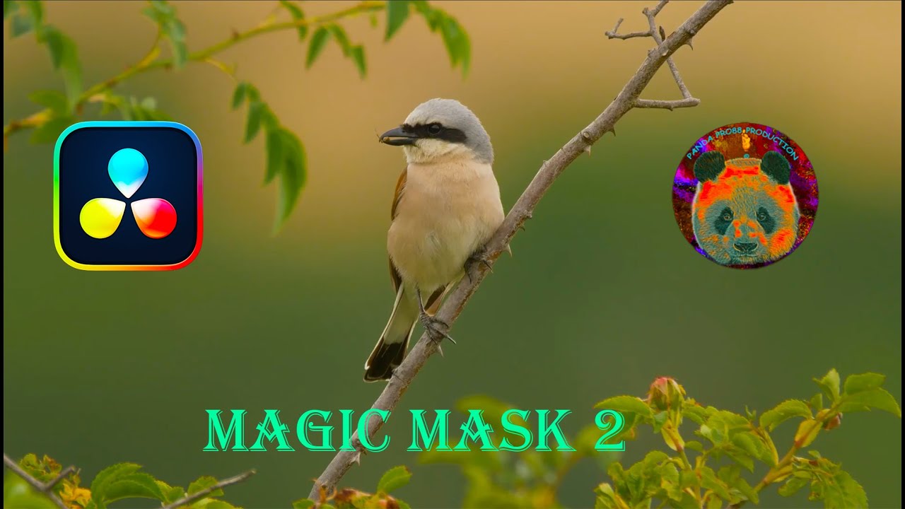 Magic mask 2 improved version of mask 1 in Davinci Resolve 20. - YouTube