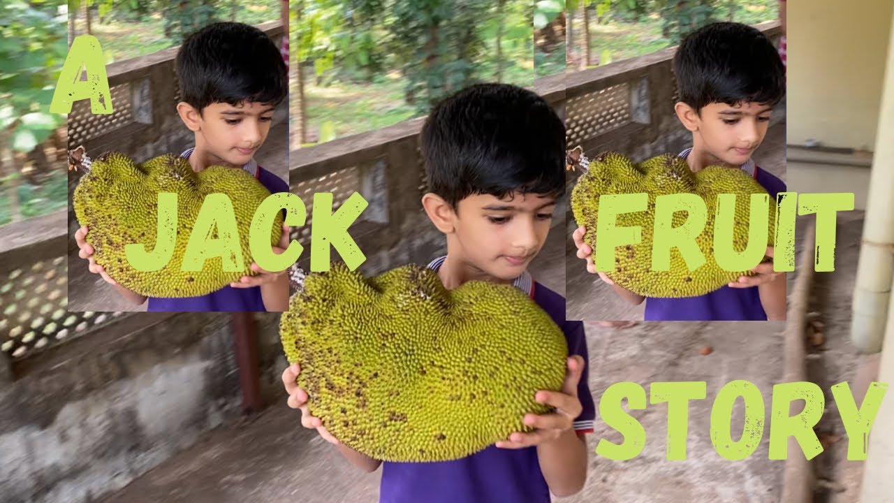 A Jackfruit story - YouTube