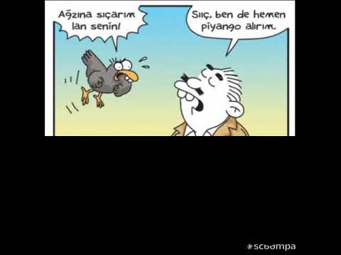 Resimli komik videolar