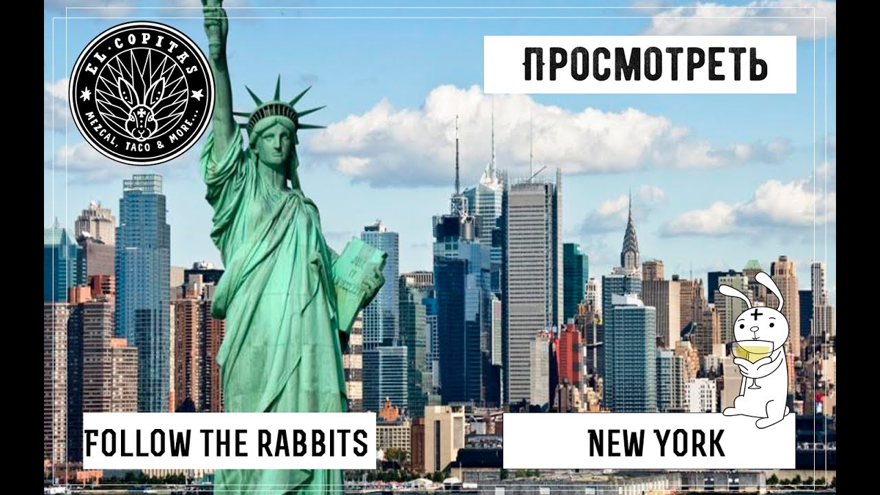 Follow the rabbits - New York - YouTube