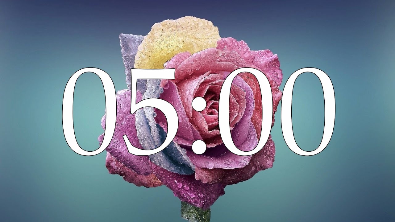 5 minutes - Real or false color, a rose is always a rose - countdown ...