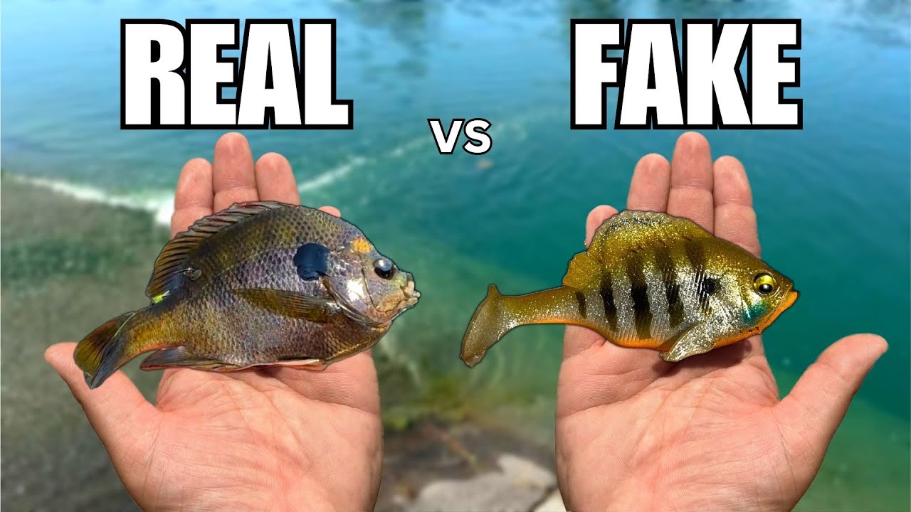 REAL Bluegill vs FAKE Bluegill (Which One Catches More Fish?) - YouTube