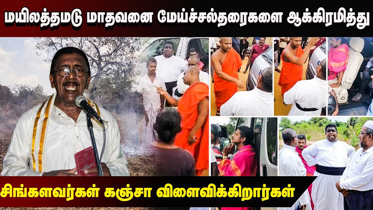 மேய்ச்சல் தரைகளை ஆக்கிரமித்து கஞ்சா விளைவிக்கும் சிங்களவர்கள் ...