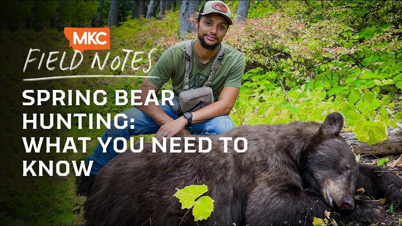Getting Ready for Spring Bear Hunting: What You Need to Know - YouTube