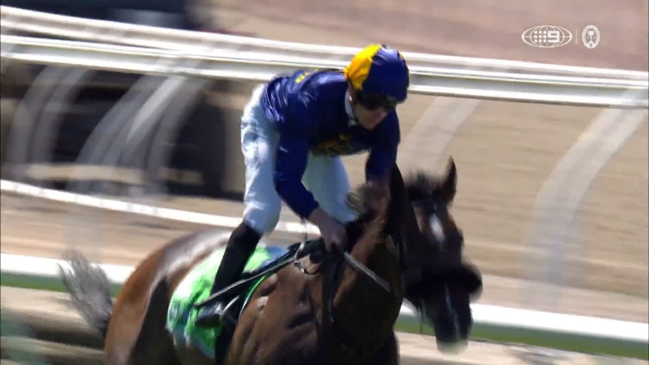 Opening Address – TAB Trophy – Lexus Melbourne Cup Day, Race 2 - YouTube