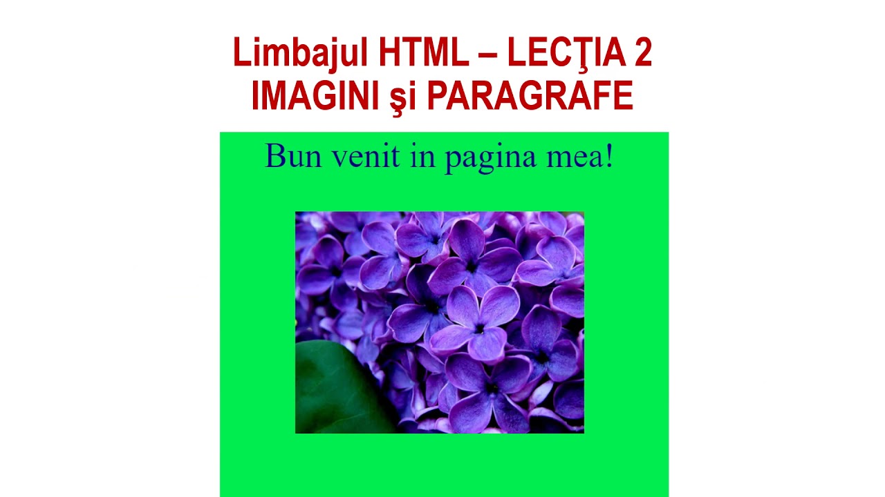 Limbajul Html – Lecţia 2 11 - YouTube
