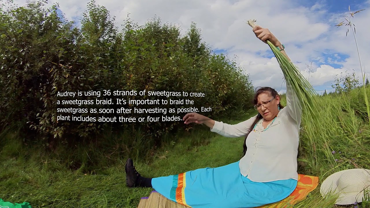 MESC Learning Services Team Sweetgrass Picking - DEMO (2) - YouTube