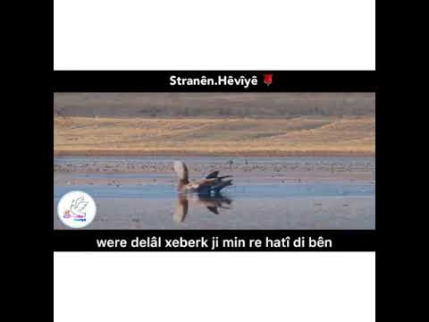 Ay delal ay. Geçmişe götüren dengbeji.