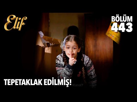 Elif’in, Hakkı’yı görecekler diye ödü kopuyor! | Elif 443. Bölüm