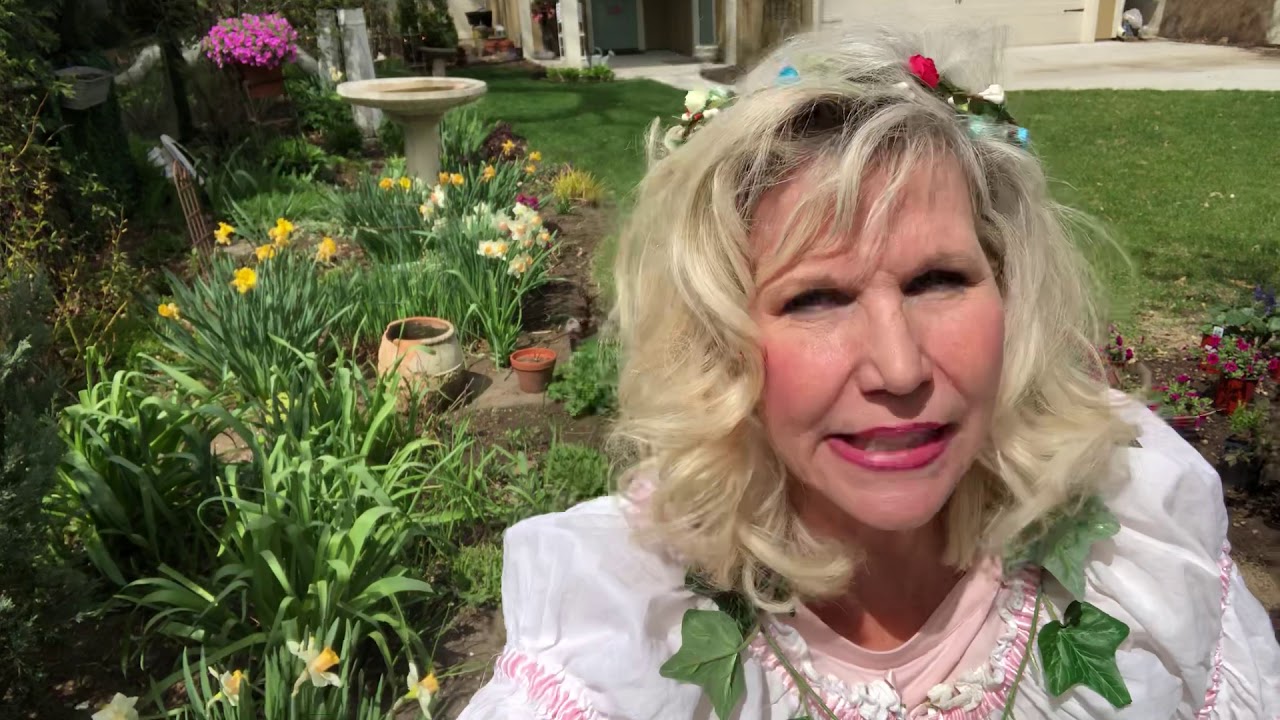 Renee’s Corner volume #7 - YouTube