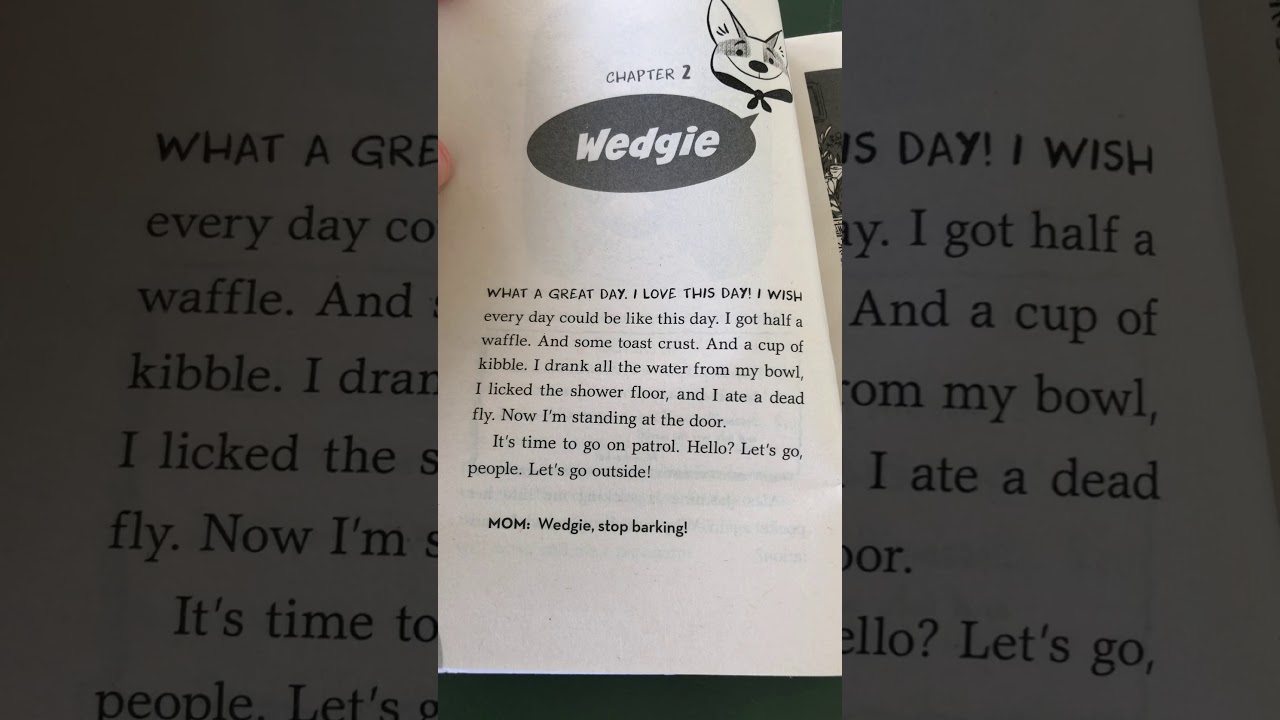 “Wedgie and Gizmo” Chapter 2 Read by Zach Casto - YouTube