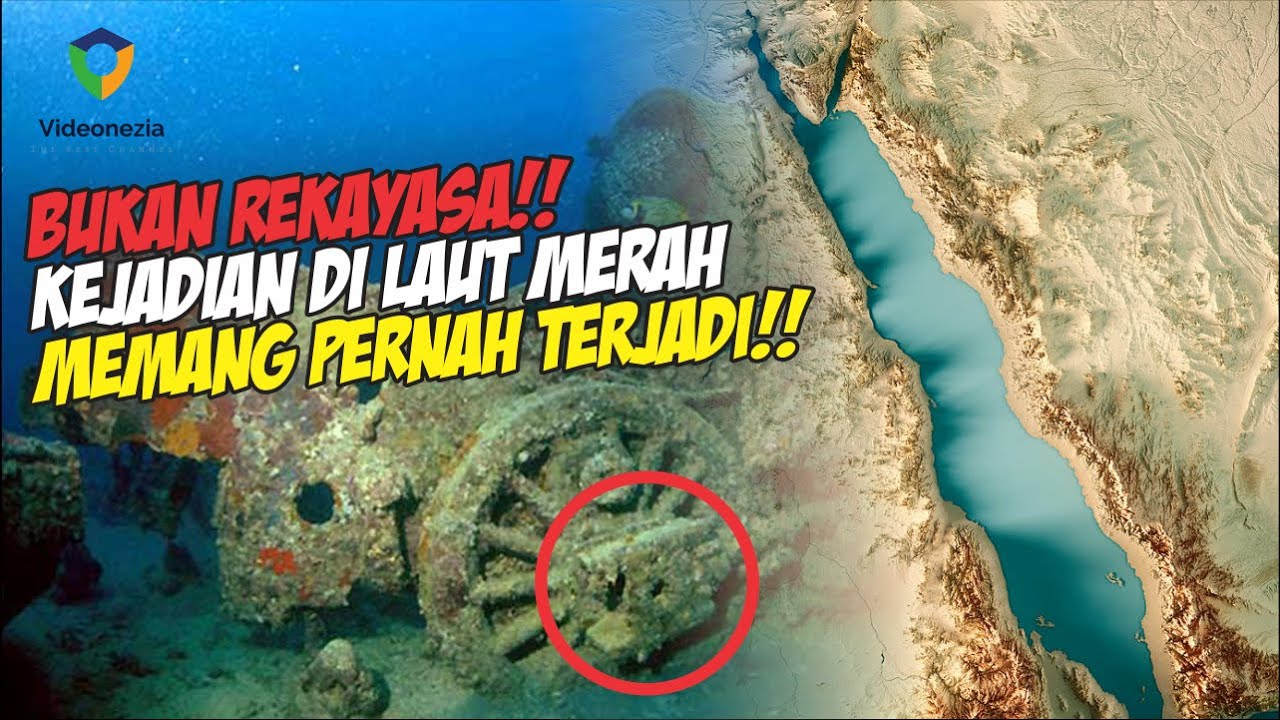 6 Fakta Laut Merah Yang Menarik Untuk Kamu Ketahui - YouTube