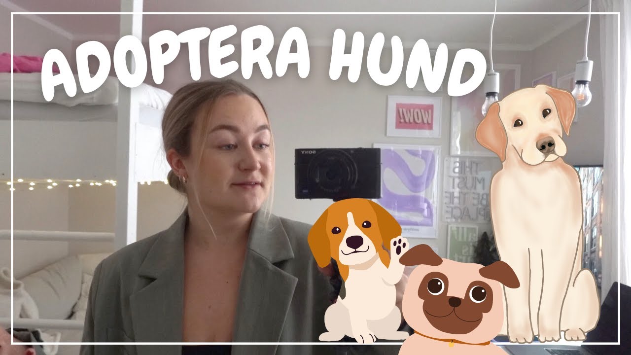 DAGS ATT ADOPTERA HUND? | MYSVLOGG MED FELICIA - YouTube