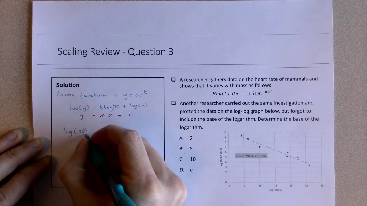 Scaling in Physics - Question 3 - YouTube