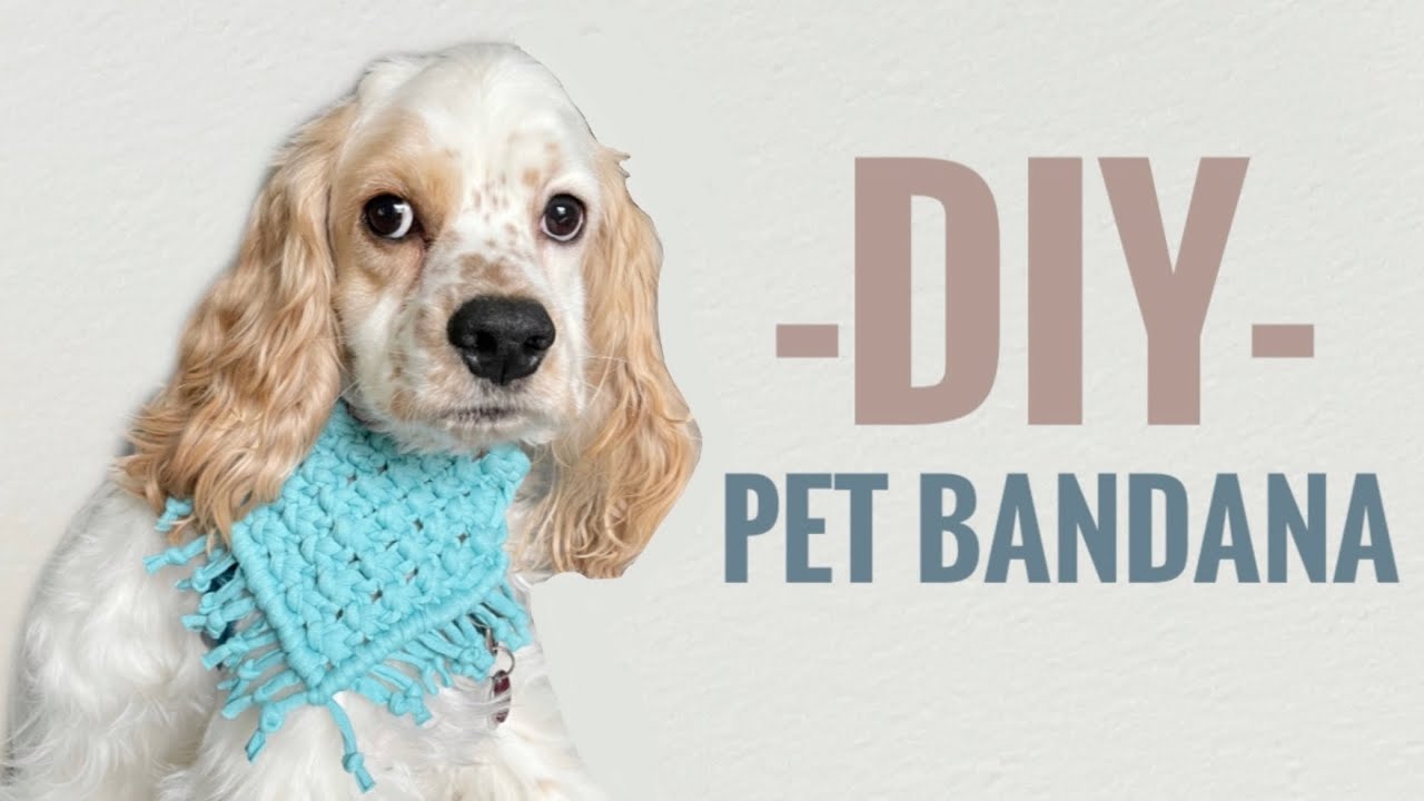 EASY Macrame Pet Bandana - YouTube