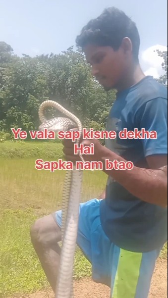 jangle ka dhamna sap#Rex sort video - YouTube