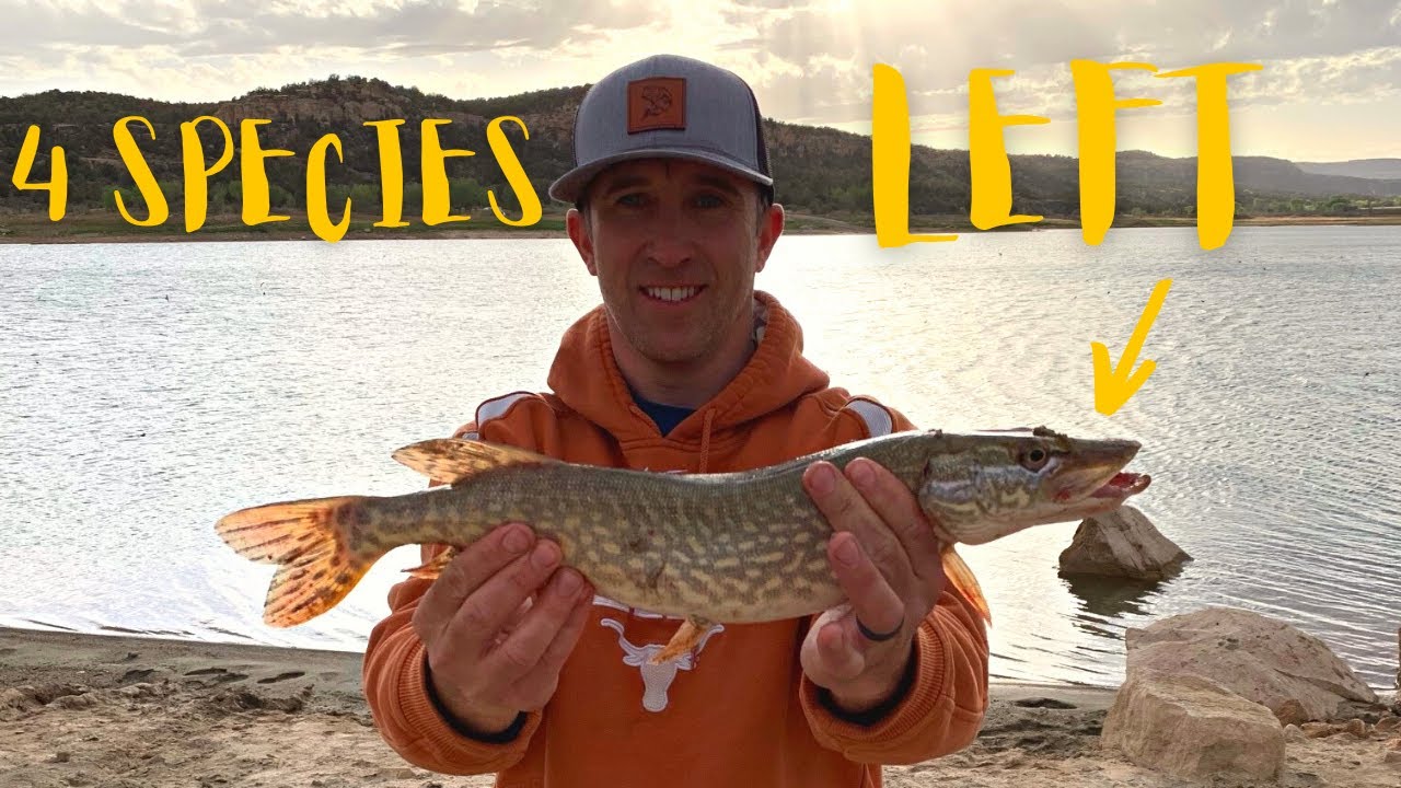 AMAZING Fishing Challenge | Recapture Reservoir | Southern Utah - YouTube