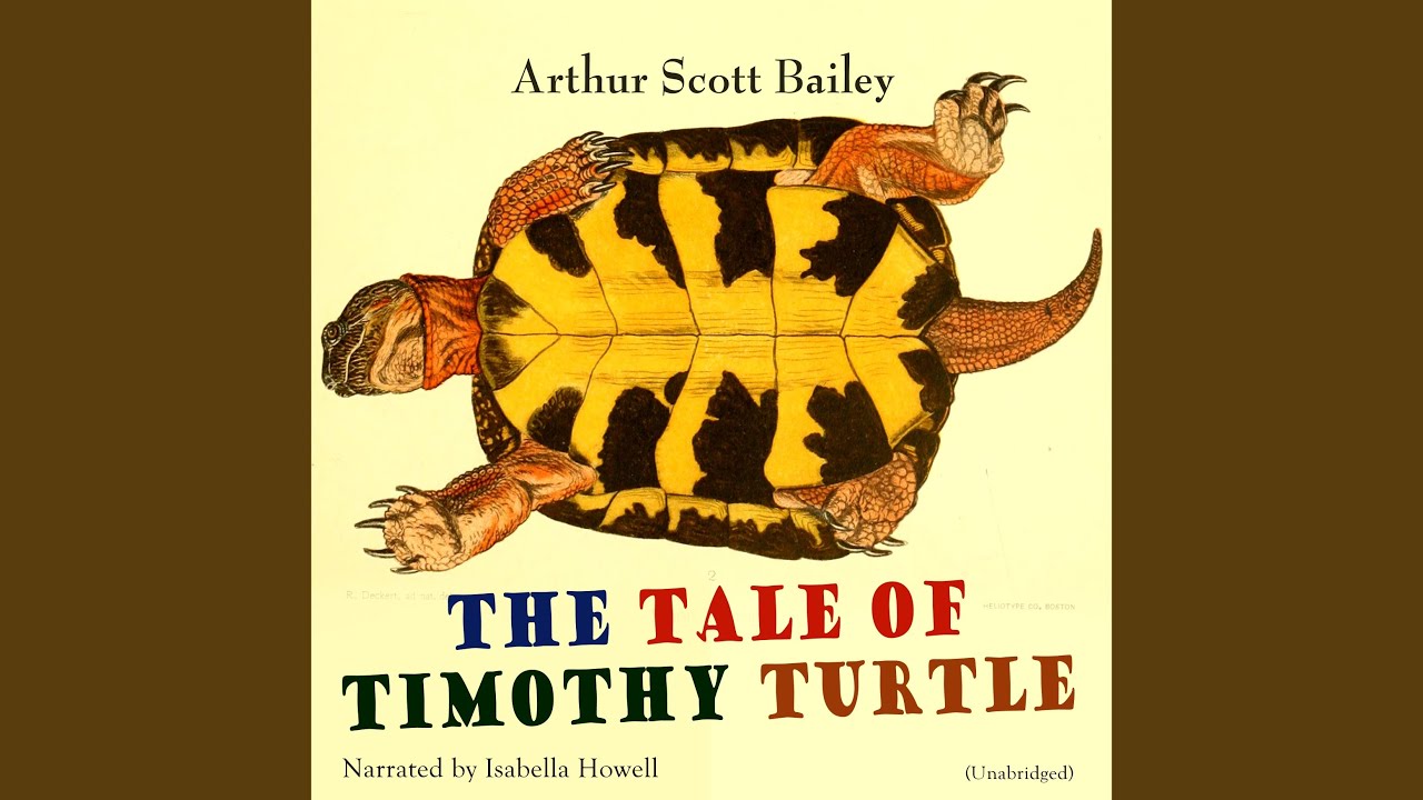 Chapter 06 - the Tale of Timothy Turtle - YouTube
