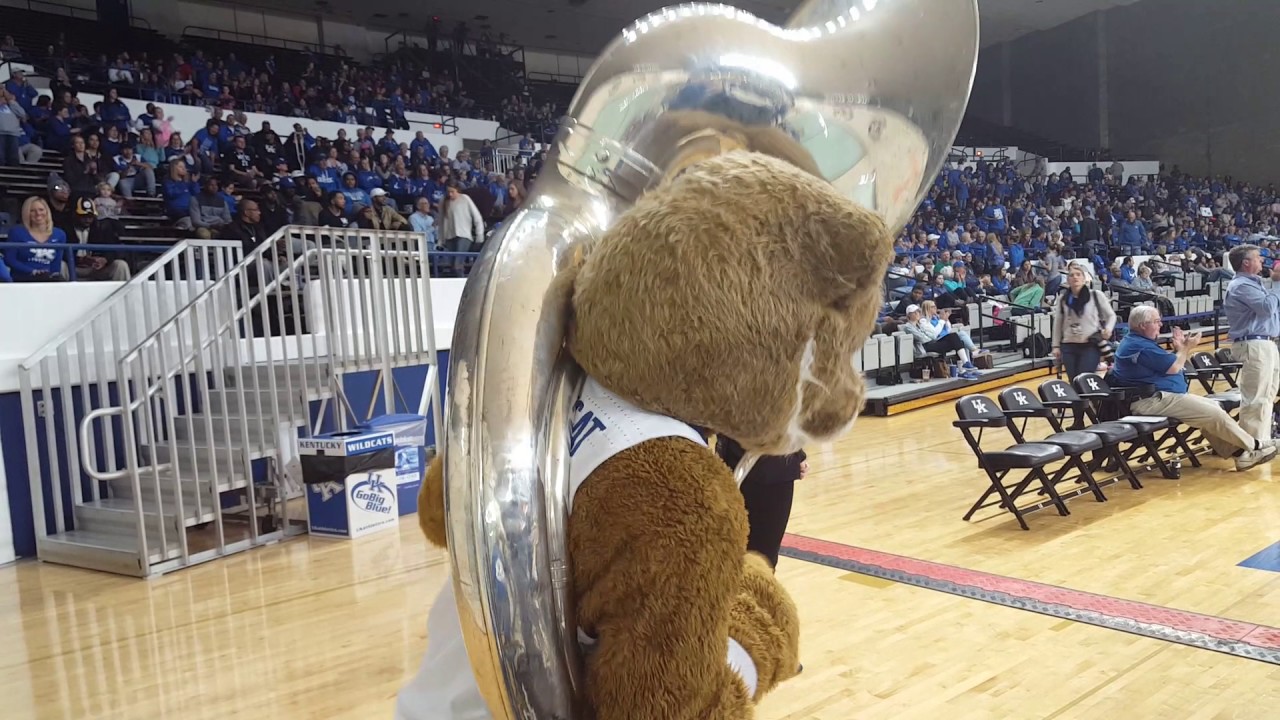 The Wildcat Goes Crazy with Tuba - YouTube