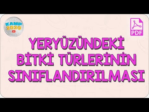 Yeryüzündeki Bitki Türlerinin Sınıflandırılması | Kamp2020