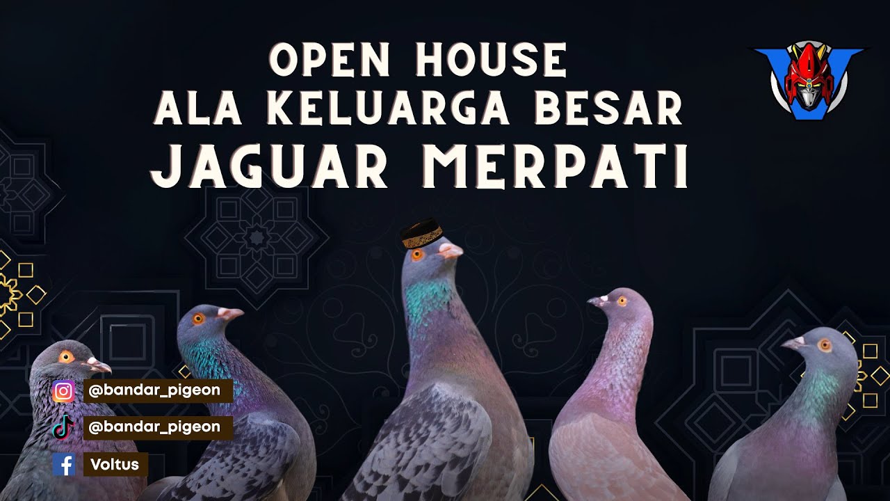 Open House Ala Keluarga Besar Jaguar Merpati - YouTube