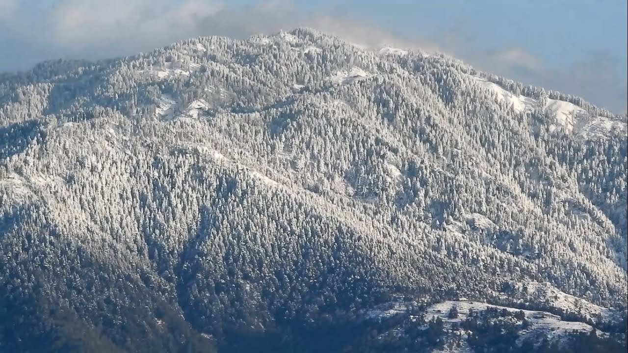 Himachal Snowfall in December, Today Video || Himachal Pradesh, India ...