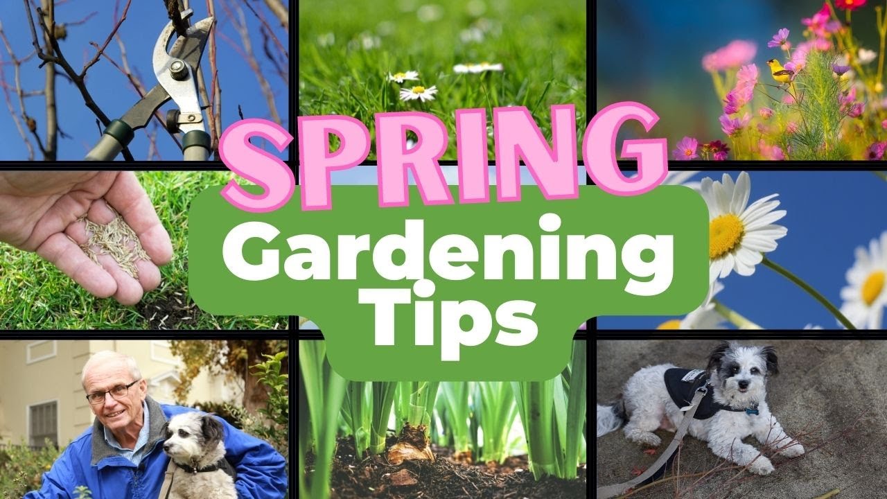 Spring Garden Preparation 🌷(5 Best Spring Tips Compilation) - YouTube