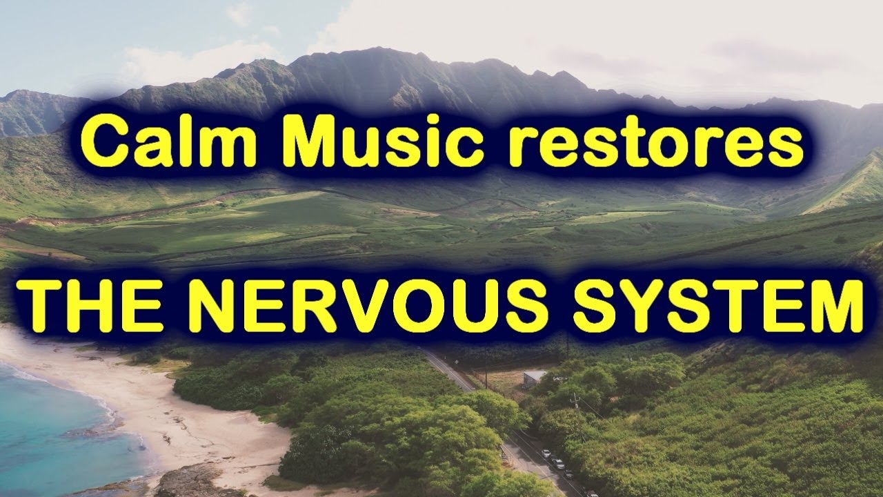 Calm Music restores the nervous system / Calming music / Relaxing Music ...