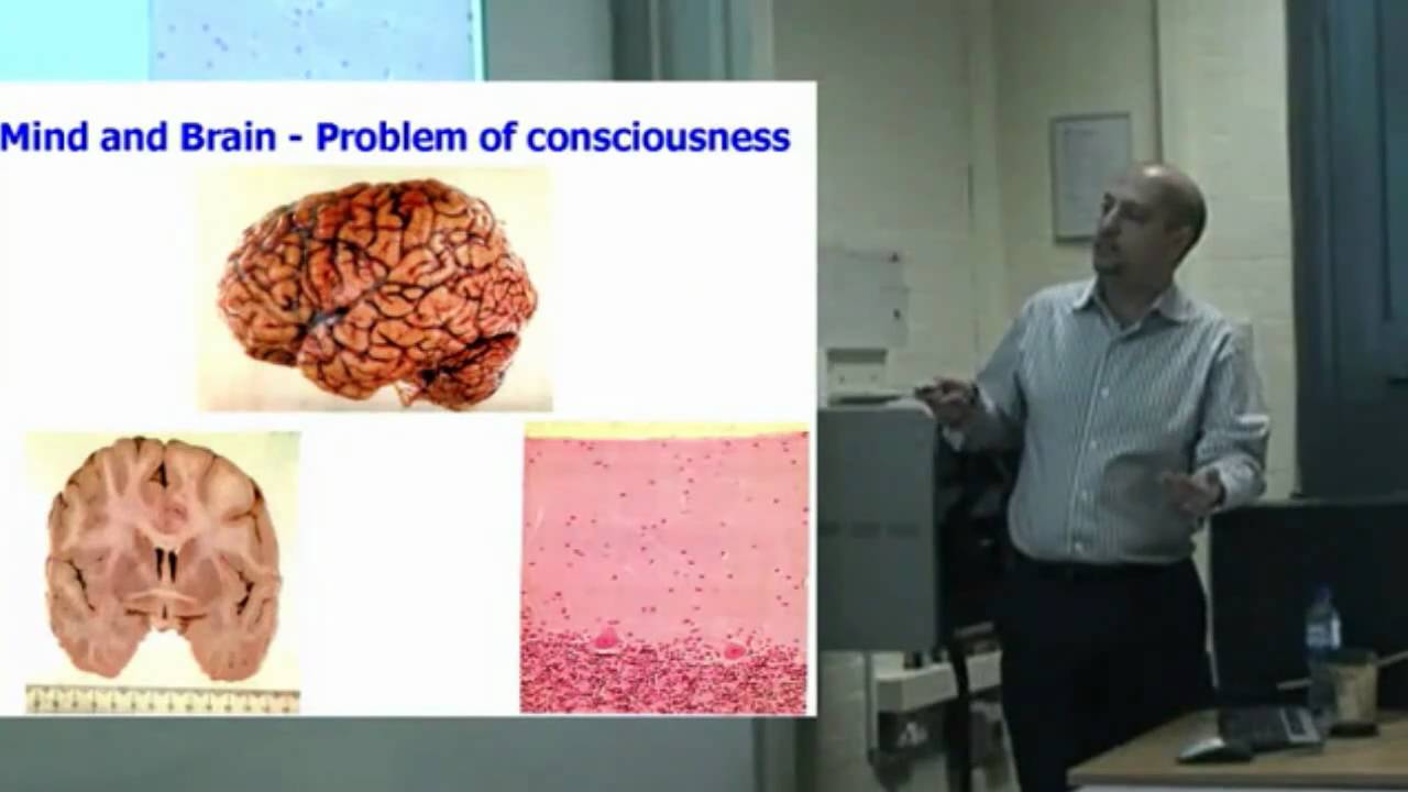 Dr Sam Parnia: Near Death Experiences During Cardiac Arrest [Part 3 ...