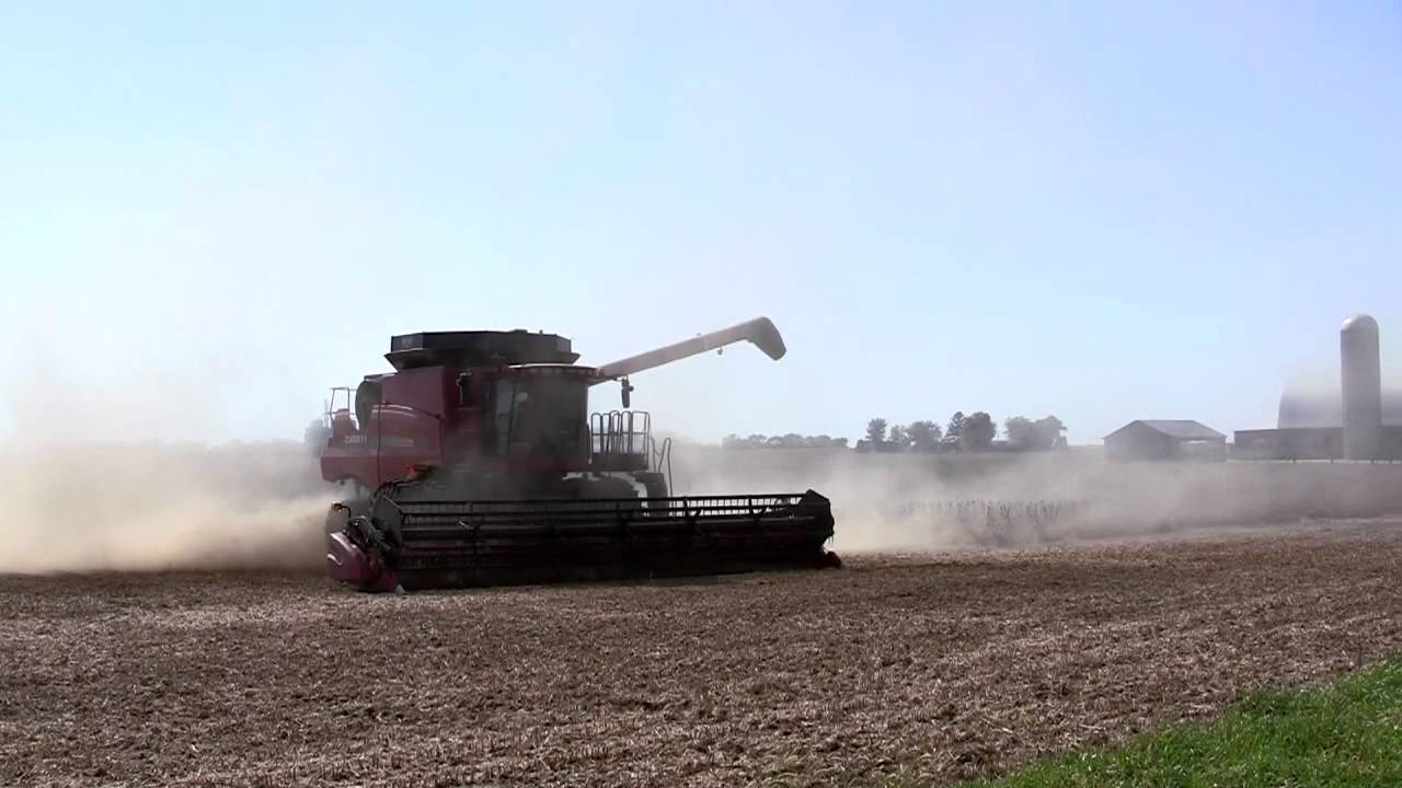 Case IH 7120, Soybean Waste in Your Face, on 10-9-2011 - YouTube