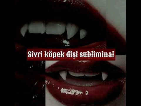 Sivri köpek dişi subliminal{çok kuvvetli}