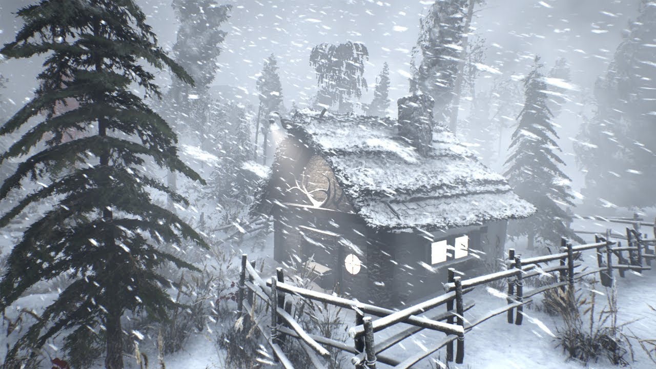 TEXAS (Dallas) WINTER with EXTREME COLD and Blizzard for Sleeping ...