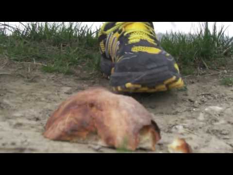 adidas kanadian TR 3 and a piece of hard bread