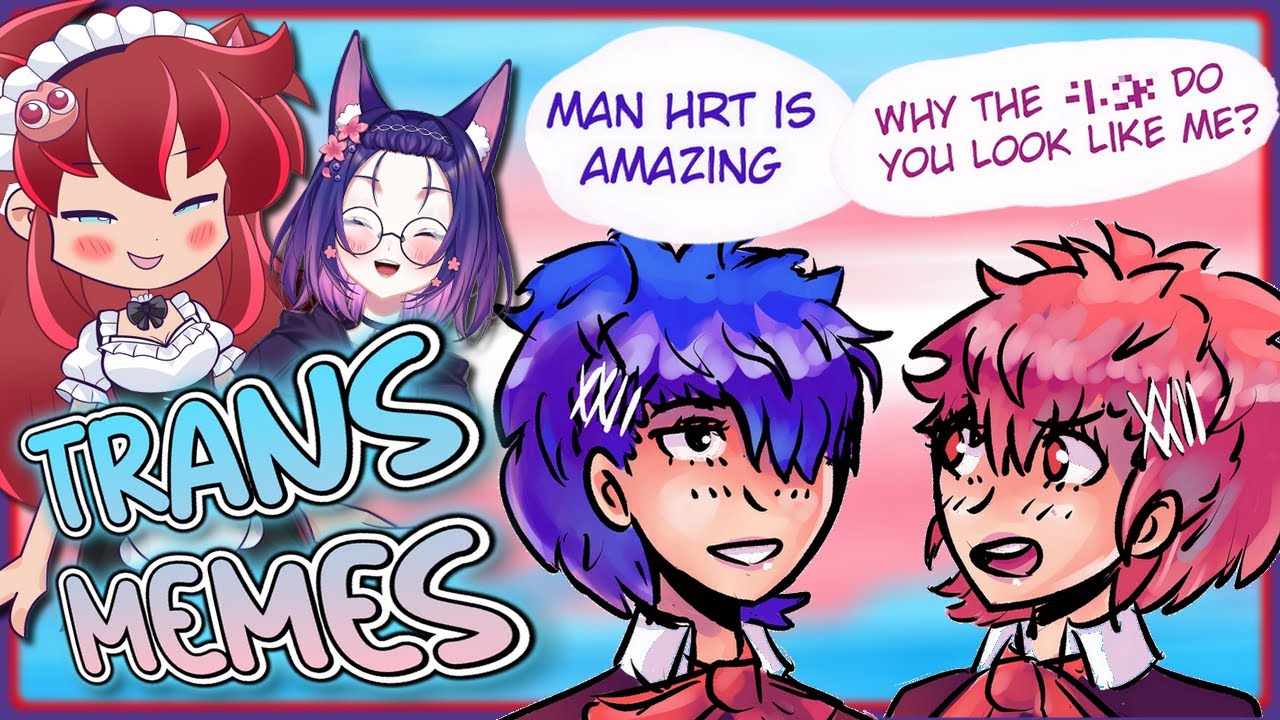 Very Cozy & Cuddly TRANS Memes 🏳️‍⚧️💙 [r/traa & r/egg_irl] feat ...