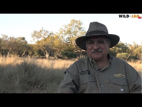 IN GESPREK MET Norman Adami, Episode 2/4 - YouTube