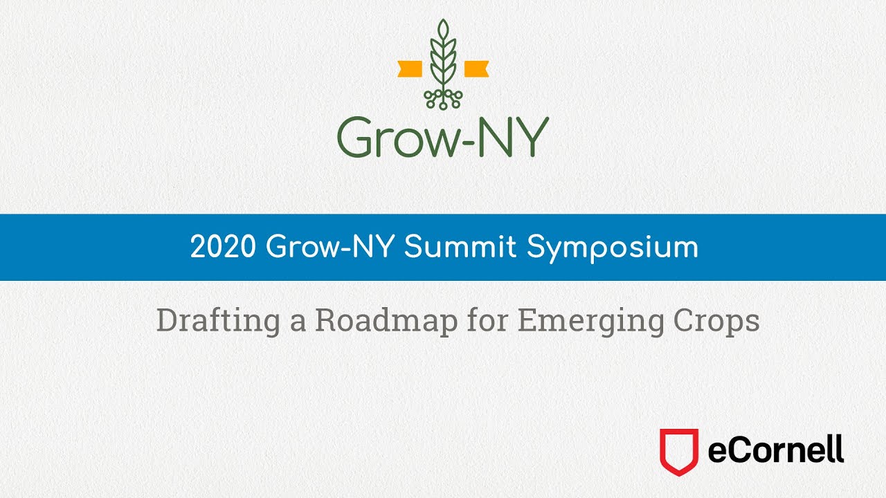 Drafting a Roadmap for Emerging Crops, Grow-NY Summit Panel - YouTube