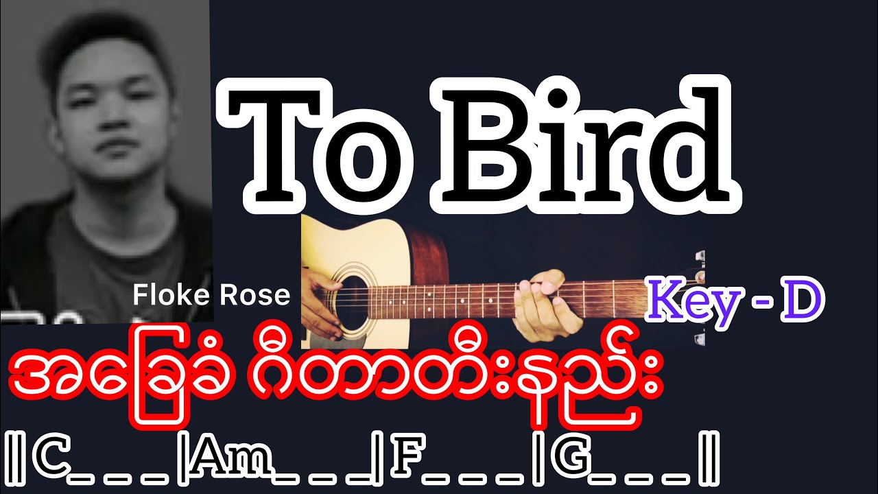 To Bird - Floke Rose / Guitar Chord ဂီတာတီးနည်း - YouTube