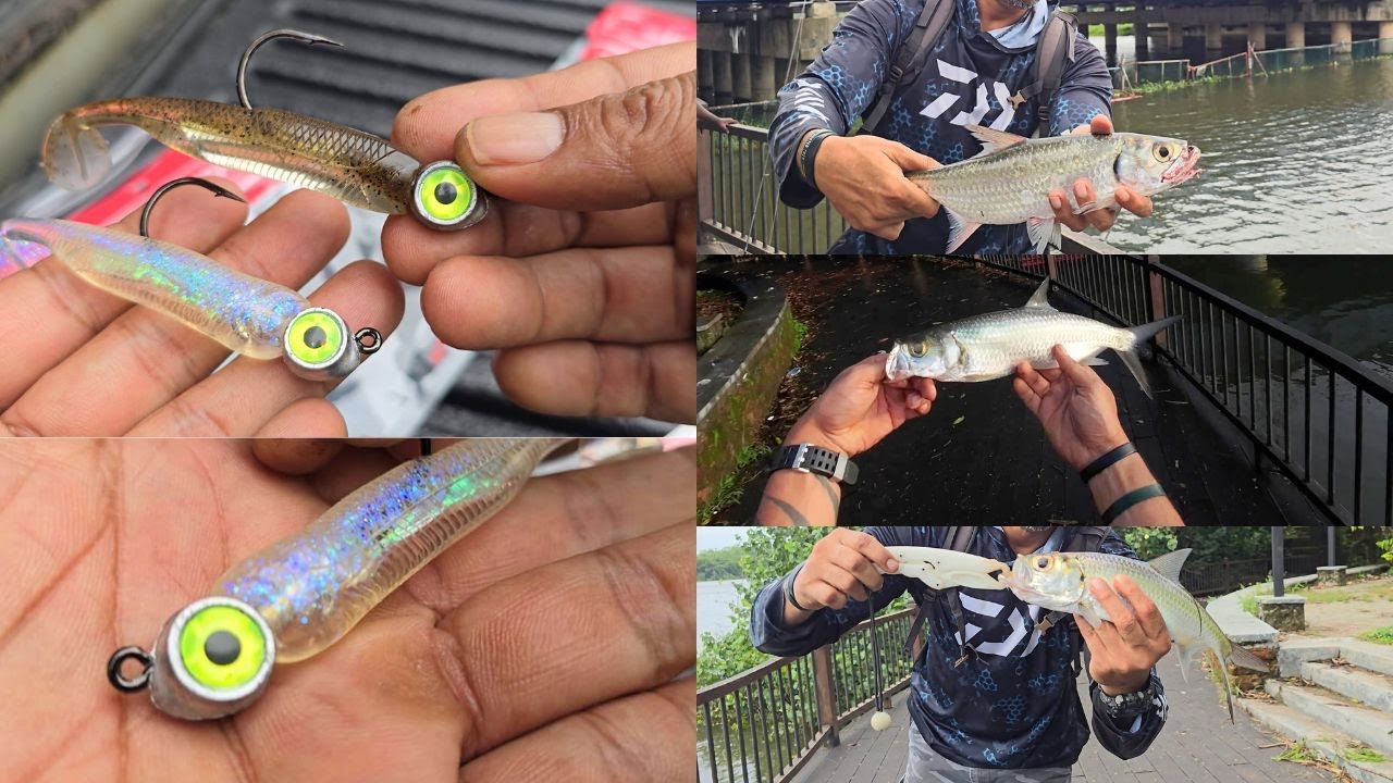 THIS LURE KEPT GETTING SMASHED - FISH ARROW FLASH-J SHAD - JUST CAST ...