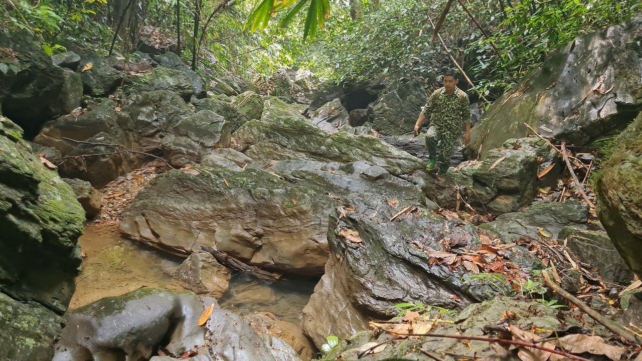 solo survival & bushcraft camp, catch and cook fish, survival cooking ...