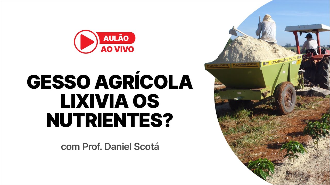 Gesso Agrícola Lixivia os Nutrientes? - Live #02 - YouTube