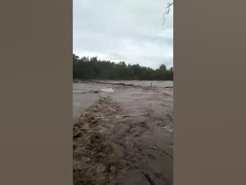 |Havey Havey Rainfall and flood water and| #broken bridge #😭🤦 - YouTube