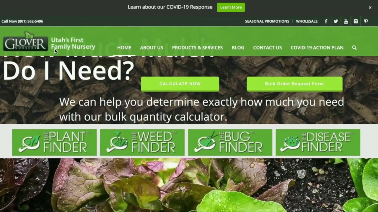 The Glover Nursery Plant Finder is Here! - YouTube