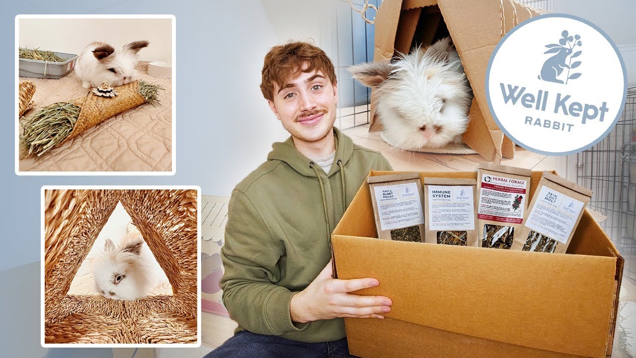 I spent WAY TOO MUCH money 💰😅 HUGE Rabbit HAUL & Cage makeover - YouTube