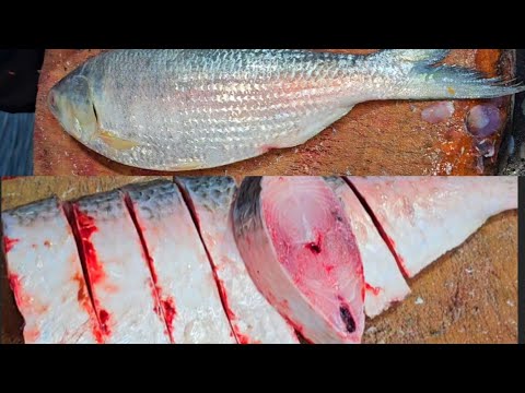 Hilsa original hilsa cutting Bangalore hoodi sagar fish!! belathur ...