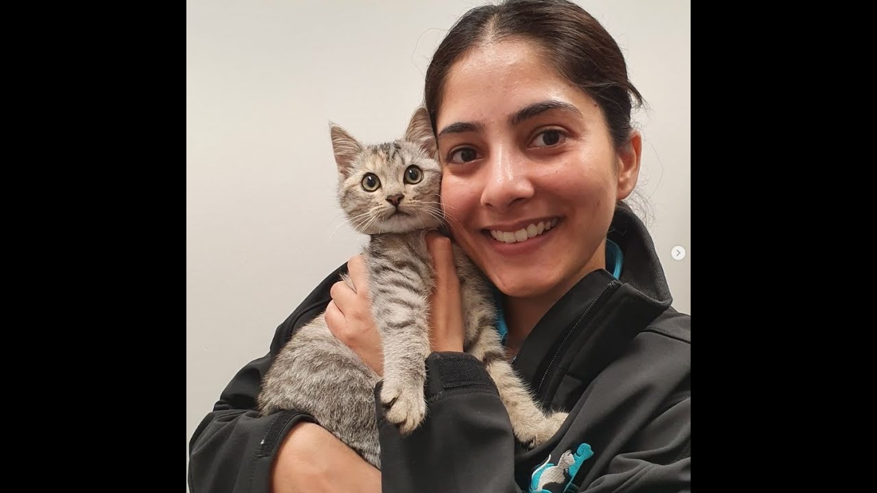 Staff Intro - Dr Damanpreet (Daman) Kaur - YouTube