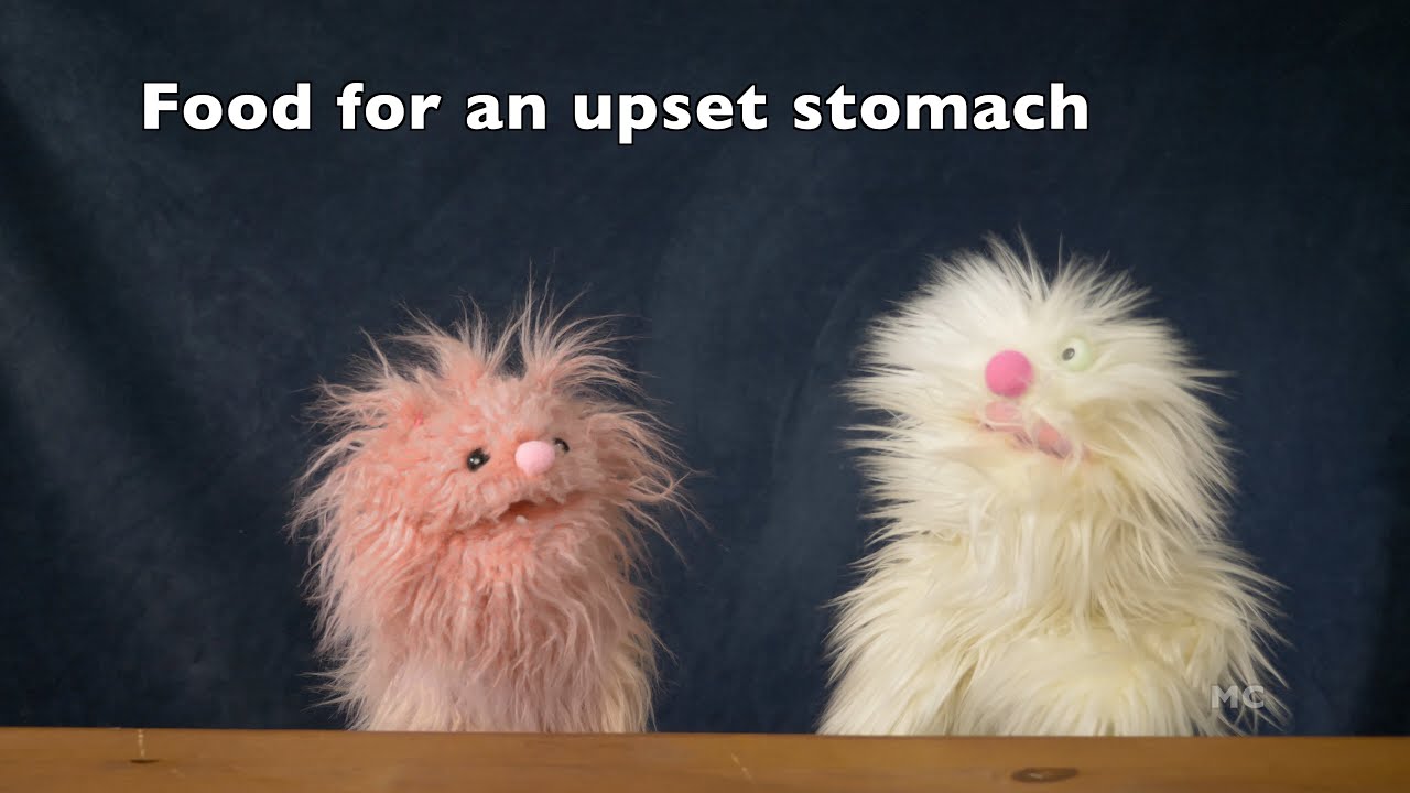 Pro Nutrition Tips with Marzi episode 4 (Boo-boo Belly) - YouTube