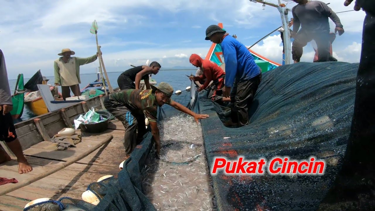 proses Penangkapan Ikan Teri di Pagi Hari - YouTube